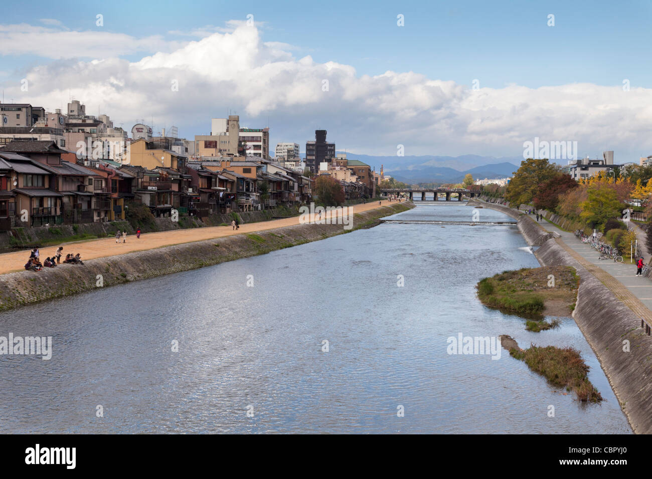 Kamo kamo hi-res stock photography and images - Alamy