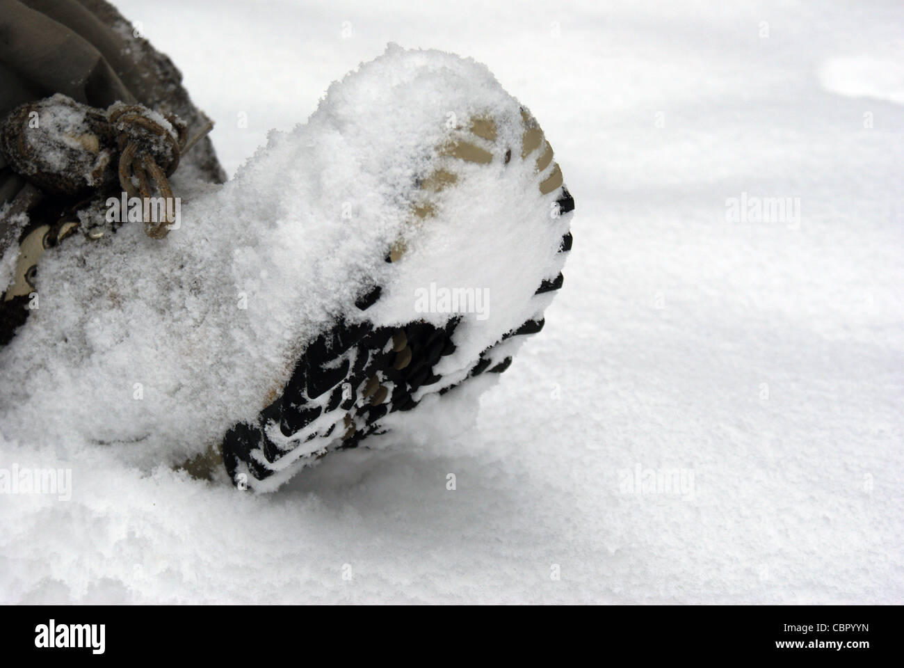 a shoe in snow Stock Photo - Alamy