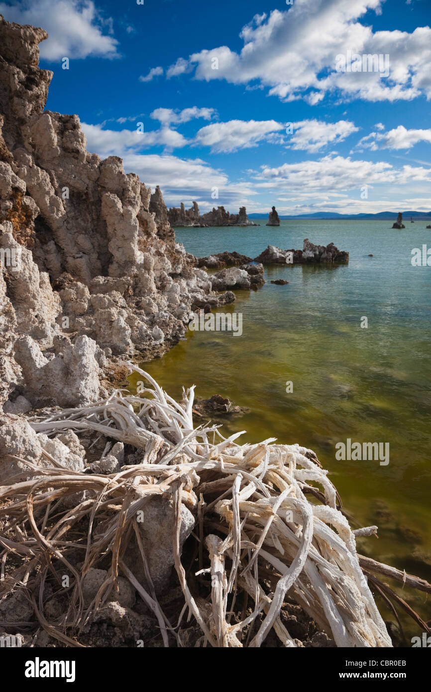 Tufa stone hi-res stock photography and images - Alamy