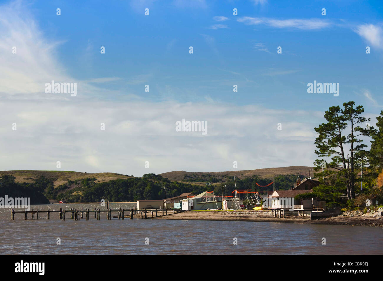 USA, California, Northern California, North Coast, Tomales Bay ...