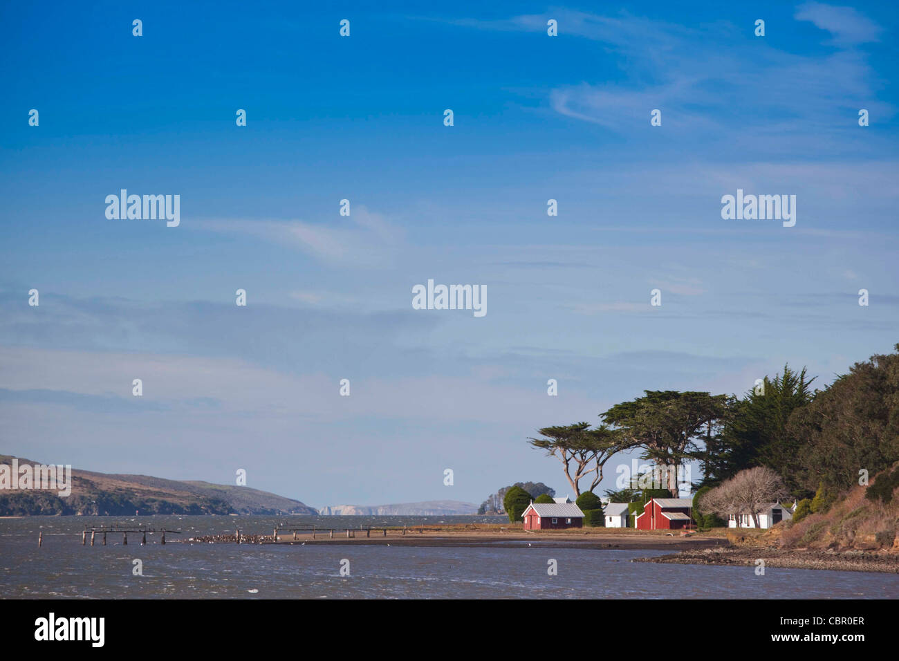 USA, California, Northern California, North Coast, Tomales Bay ...