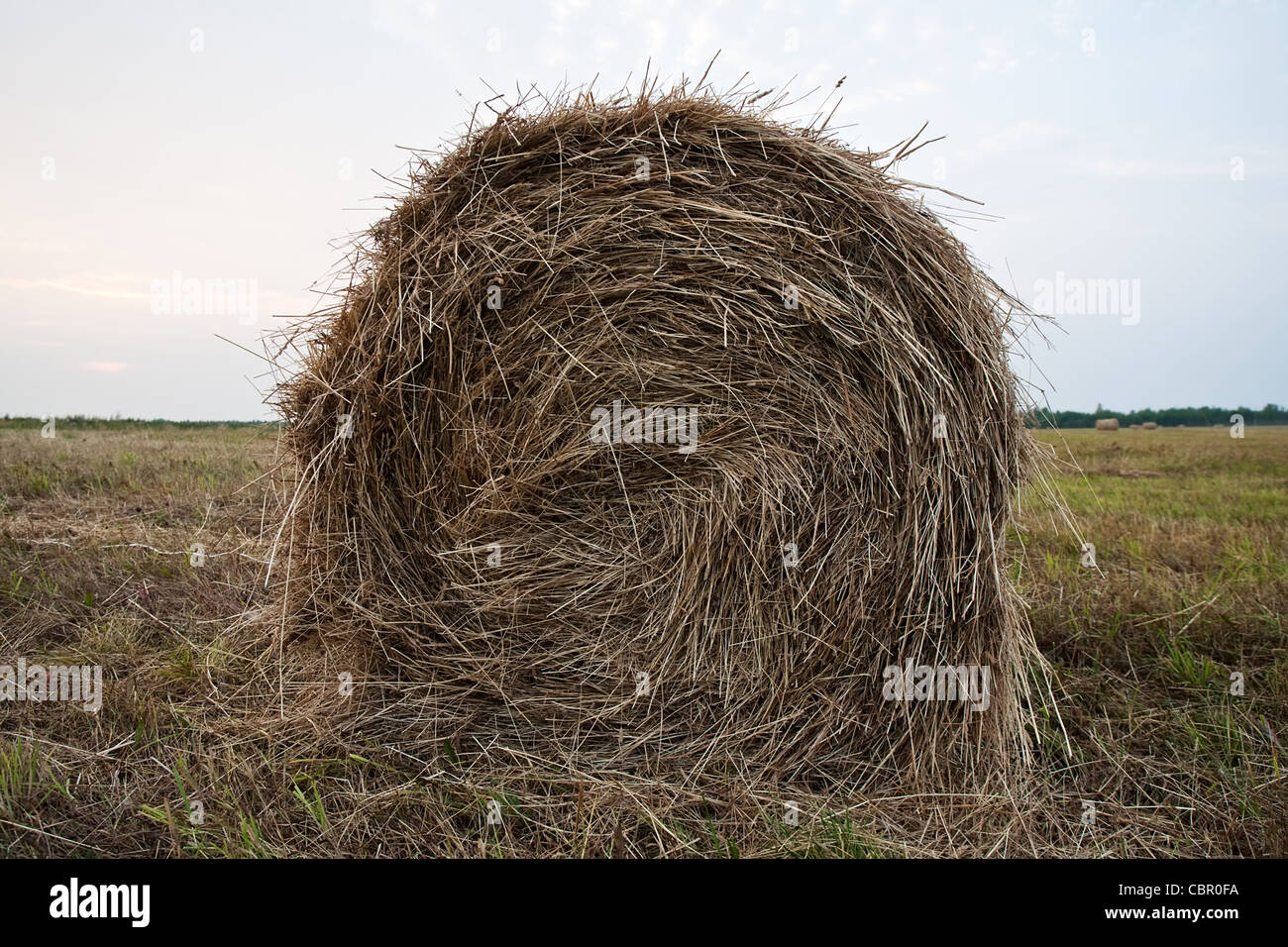 hay stack closeup on the meadow and sky background Stock Photo - Alamy
