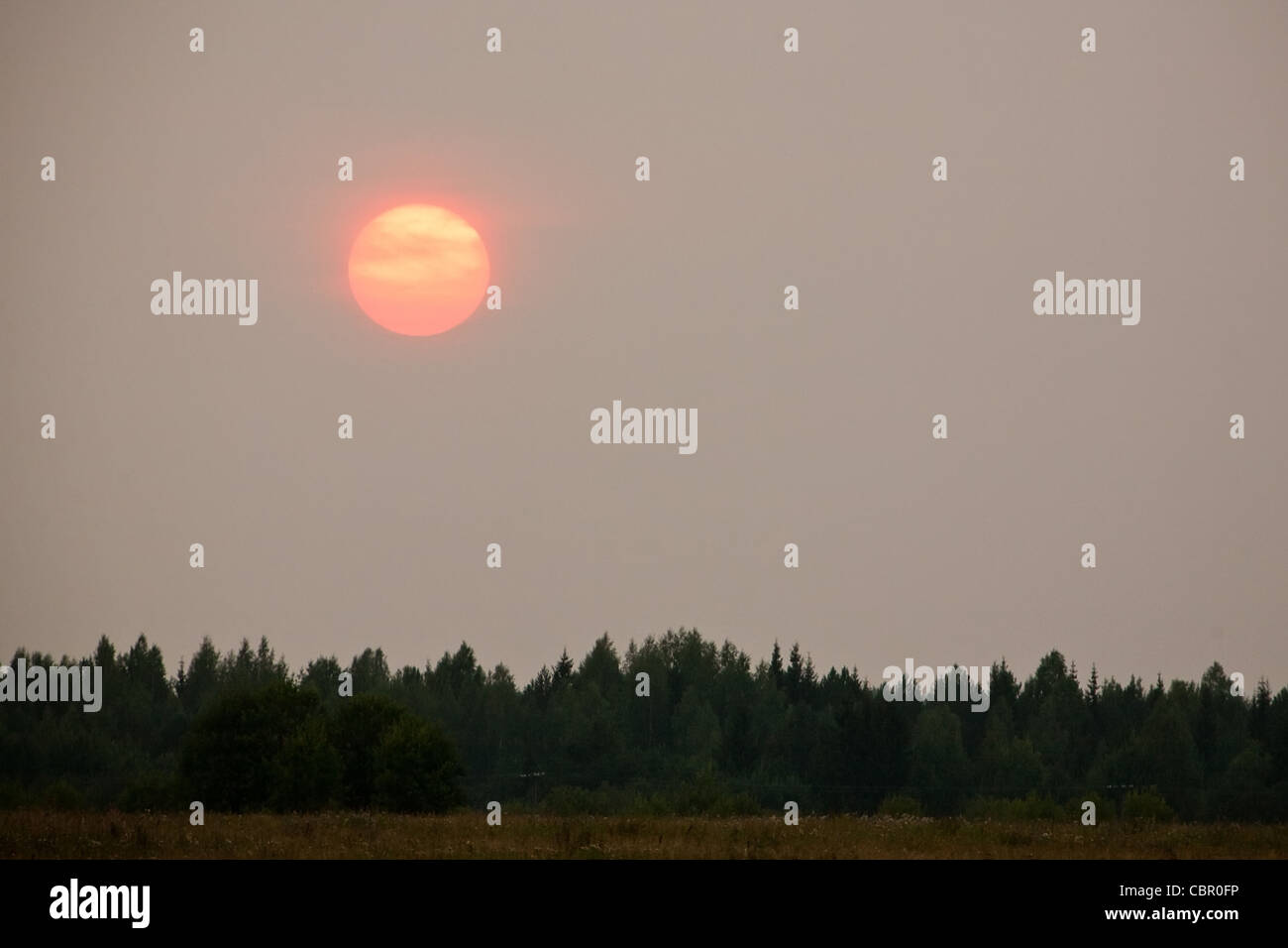 evening red sun above forest trees on grey sky background Stock Photo ...
