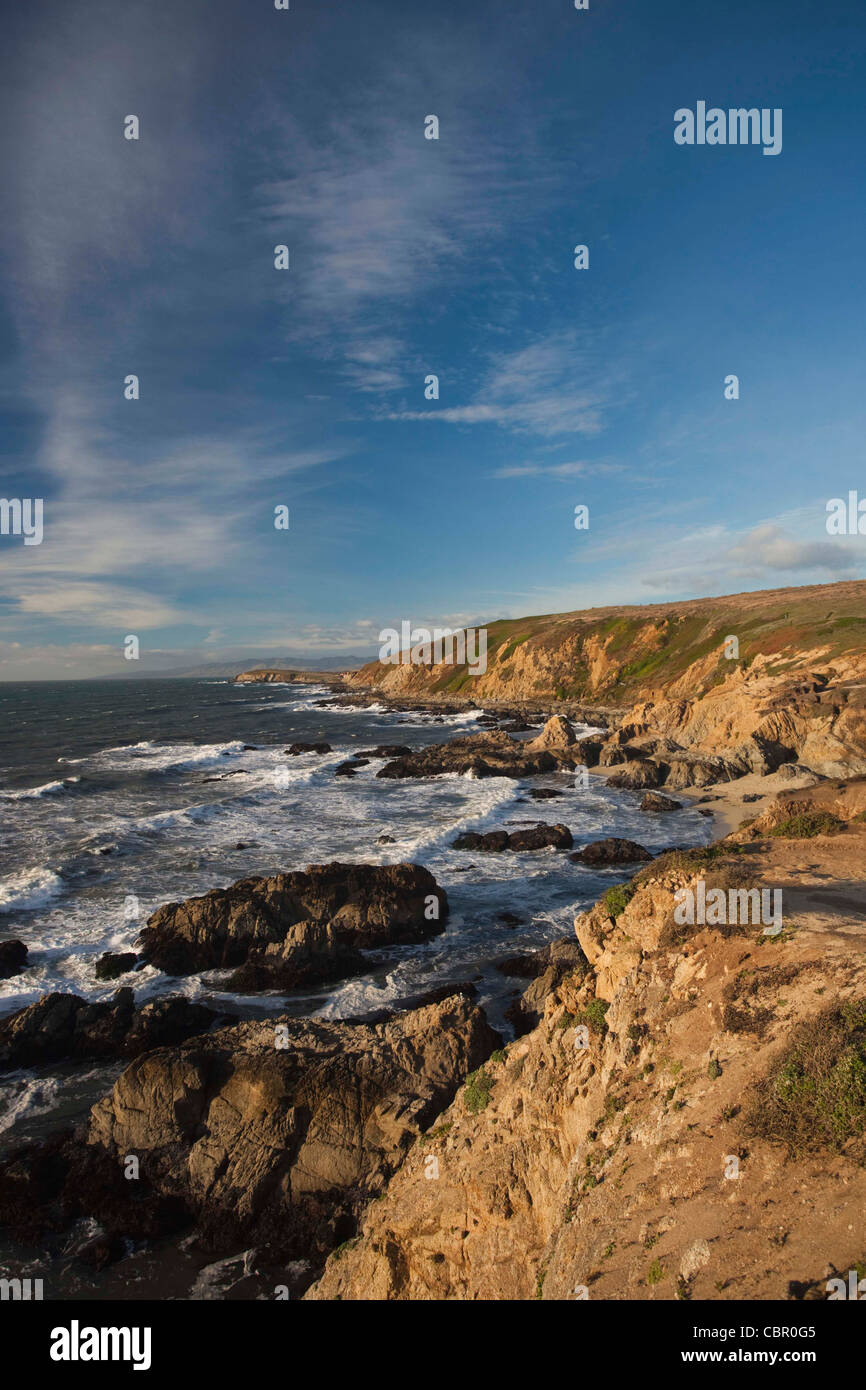 Bodega head hi-res stock photography and images - Alamy