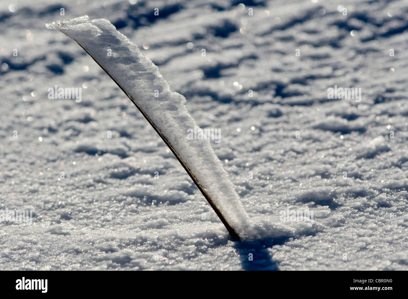 Exposed blade hi-res stock photography and images - Alamy