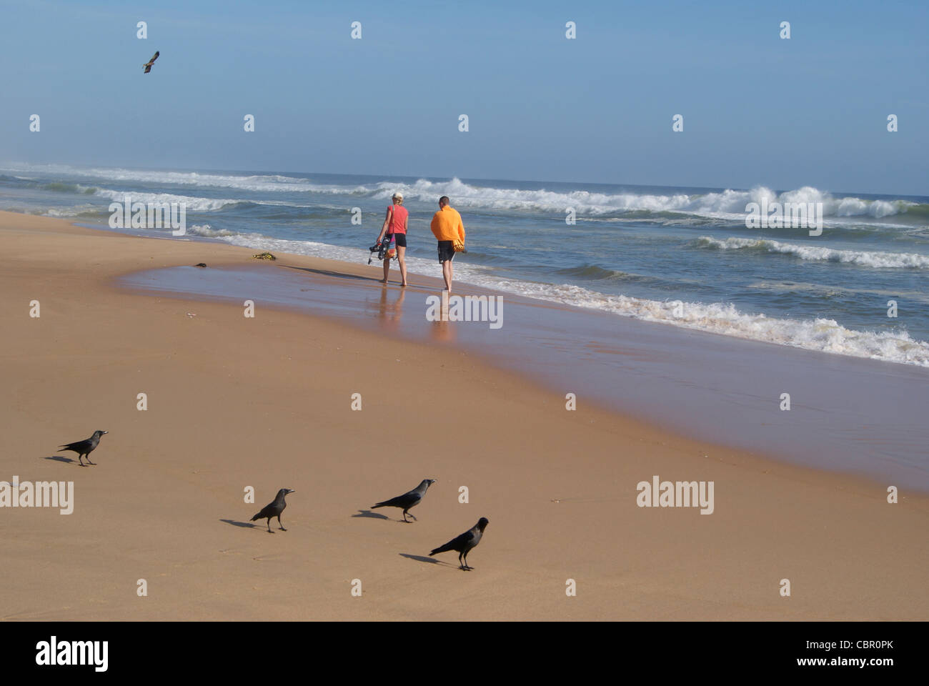 Long wide Chowara Beach Sceneries of Kerala Stock Photo - Alamy
