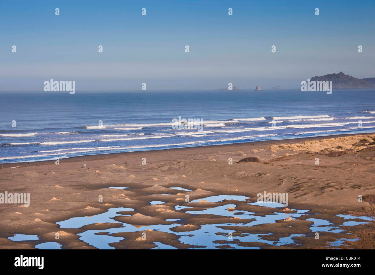 Clam High Resolution Stock Photography and Images - Alamy