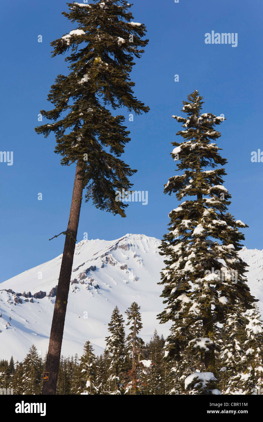 USA, California, Northern California, Northern Mountains, Mount Shasta ...