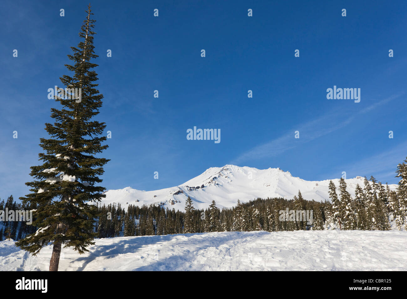USA, California, Northern California, Northern Mountains, Mount Shasta ...