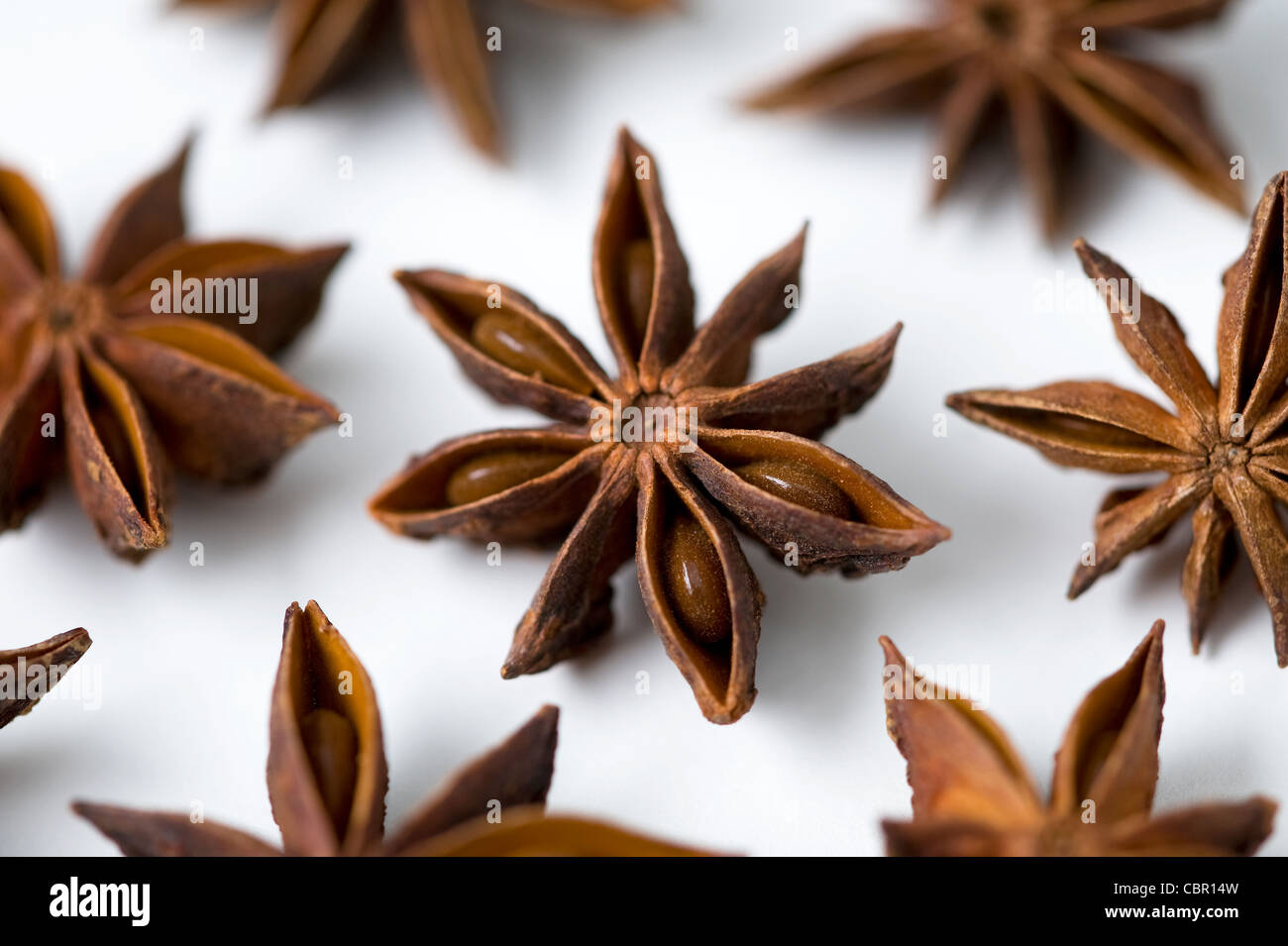 whole star anise arranged against a white background Stock Photo - Alamy