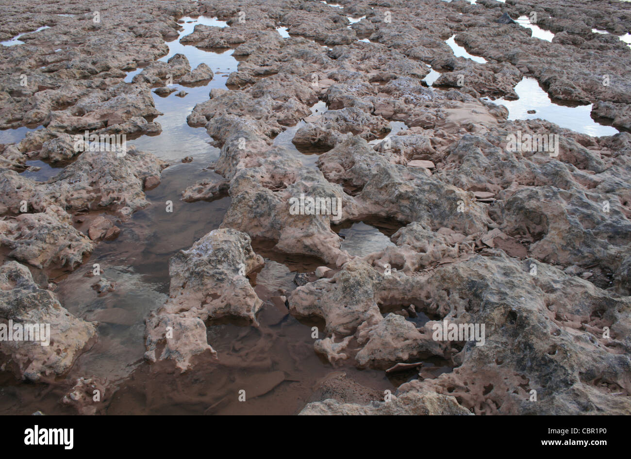 Eroded stream bed hi-res stock photography and images - Alamy