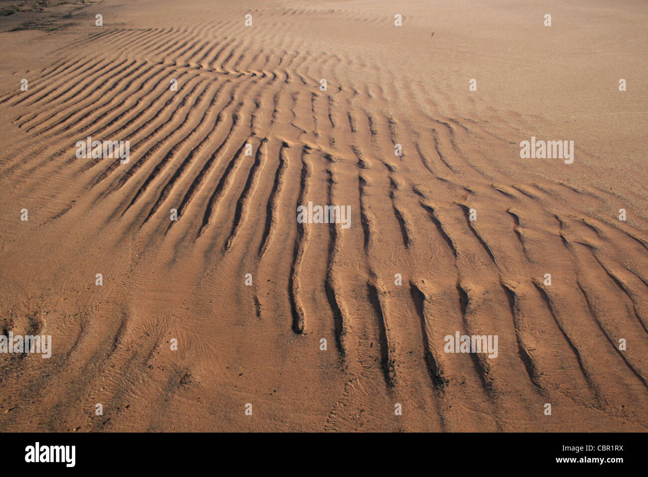 beach surface with ripples from small waves Stock Photo - Alamy