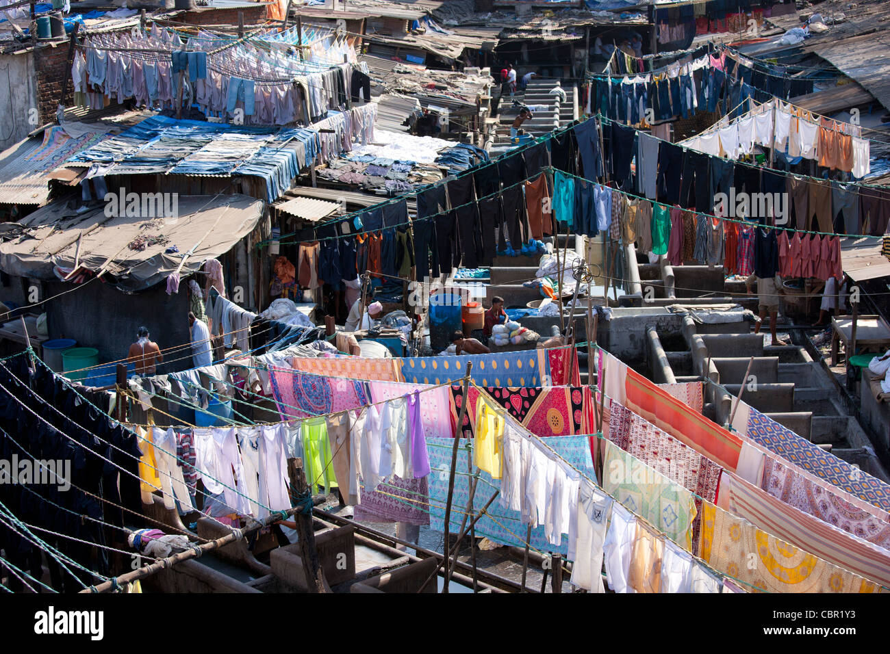 Flogging Stock Photos & Flogging Stock Images - Alamy