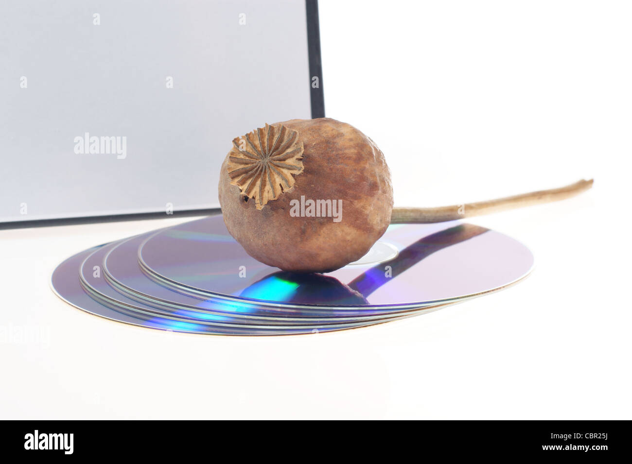 disc and poppy - addiction computers CD DVD Stock Photo - Alamy