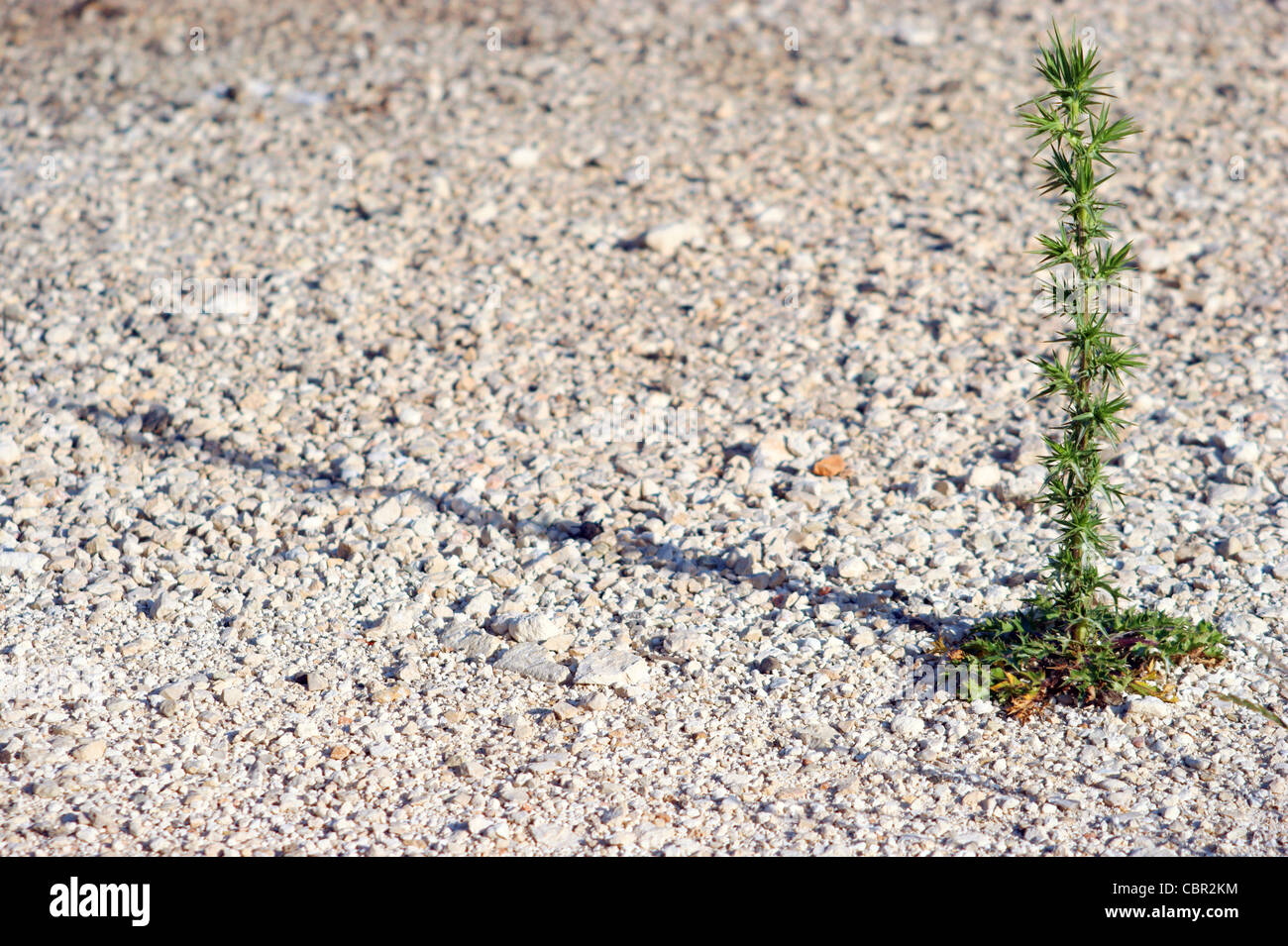 Throw a shadow hi-res stock photography and images - Alamy