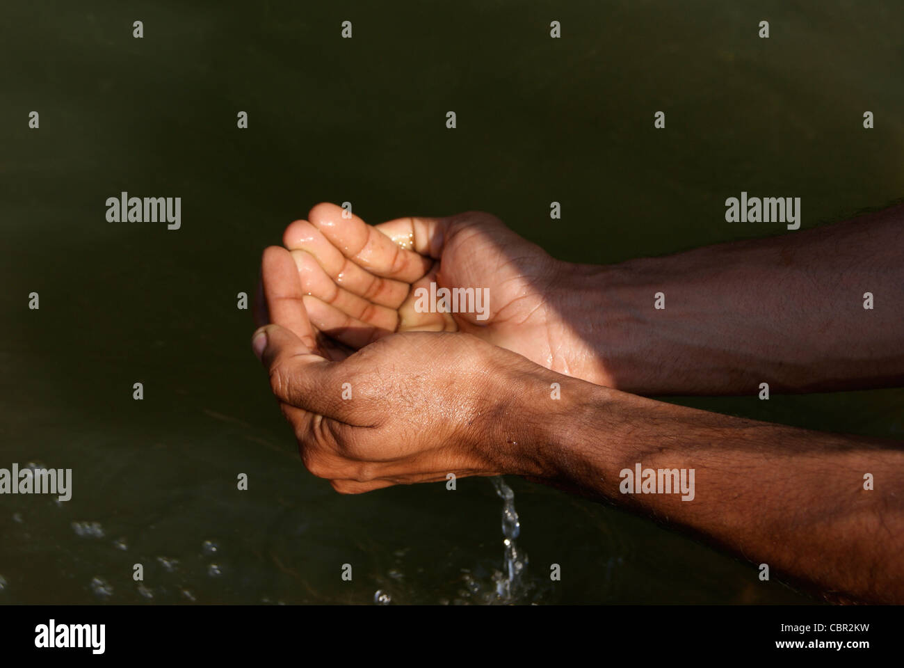Holding Couple of Water in hands from river Stock Photo - Alamy
