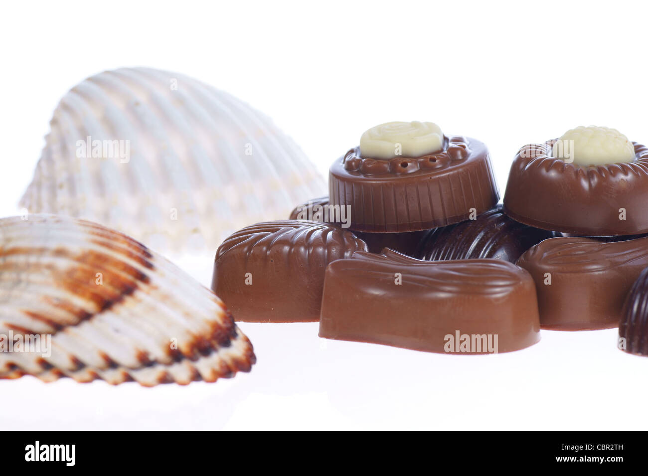 chocolate pralines and shells on white background. Delicious dark and ...