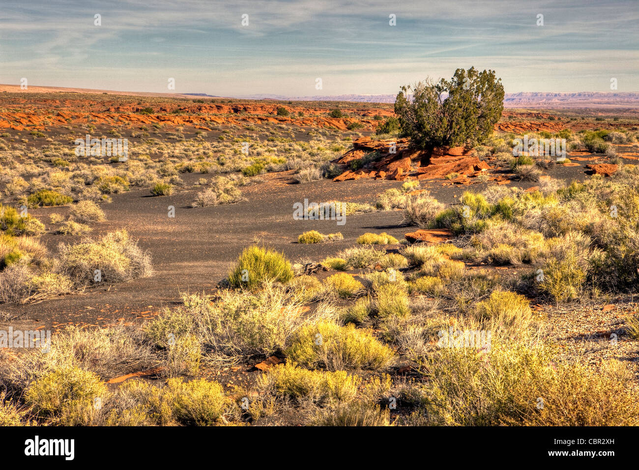 Painted desert, arizona hi-res stock photography and images - Alamy
