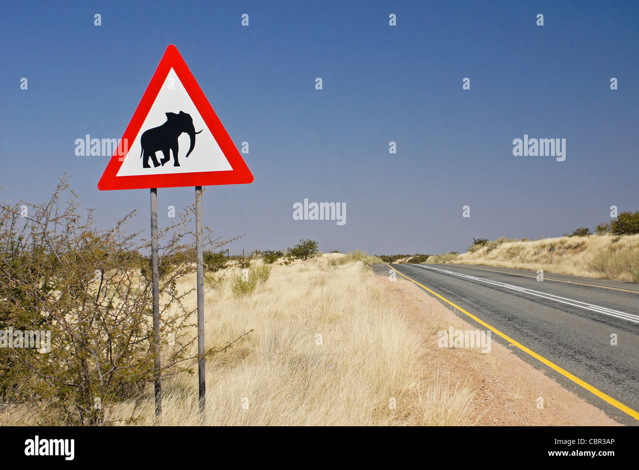 Warning sign for elephants on road, Namibia Stock Photo - Alamy