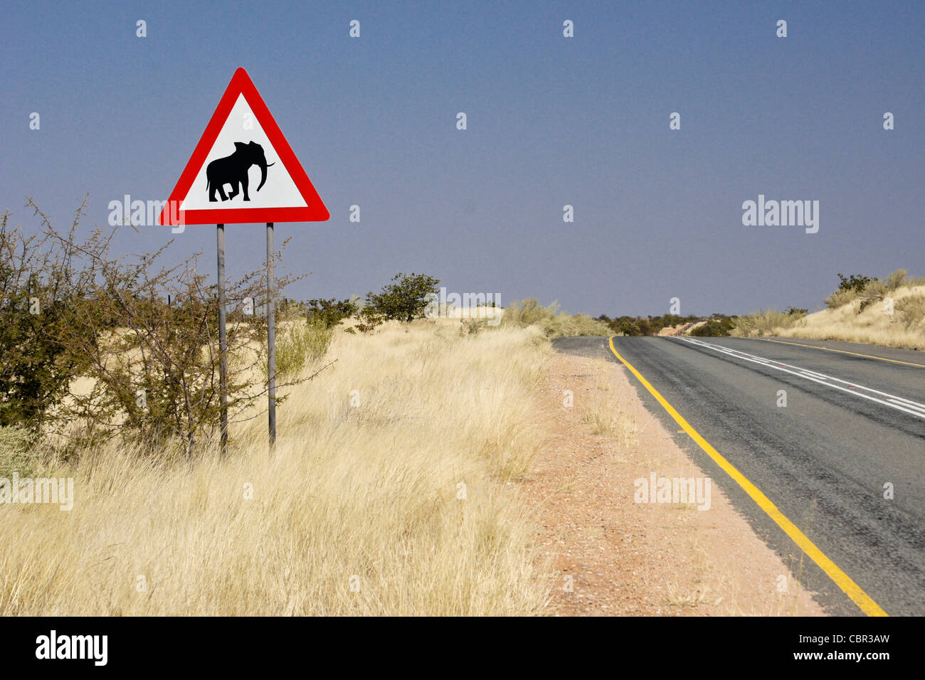 Warning sign for elephants on road, Namibia Stock Photo - Alamy