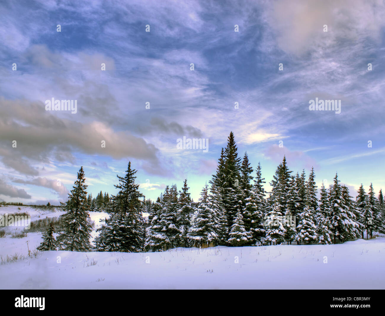 Beautiful cloud patterns on an Alaskan winter day with spruce trees and ...