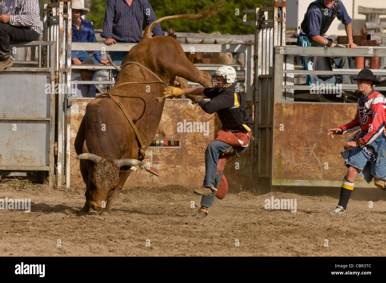 Bull riding action at the Dayboro country rodeo Stock Photo - Alamy