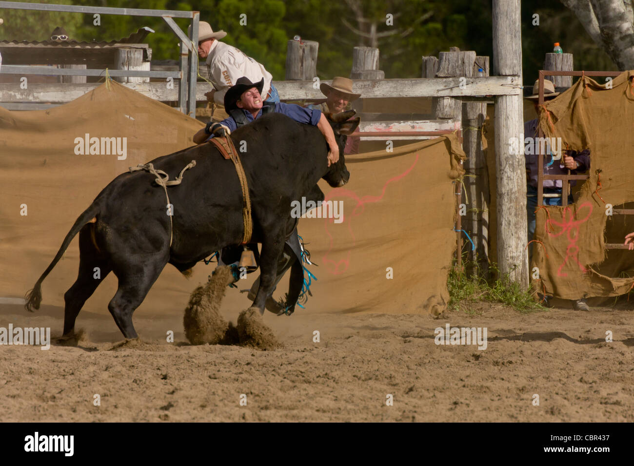 Australian australia cowboy cowboys hi-res stock photography and images ...
