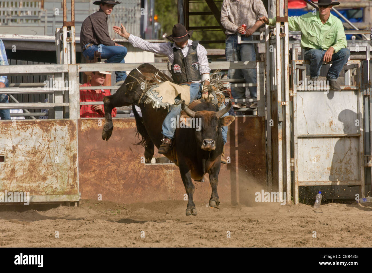 Australian rodeo hi-res stock photography and images - Alamy