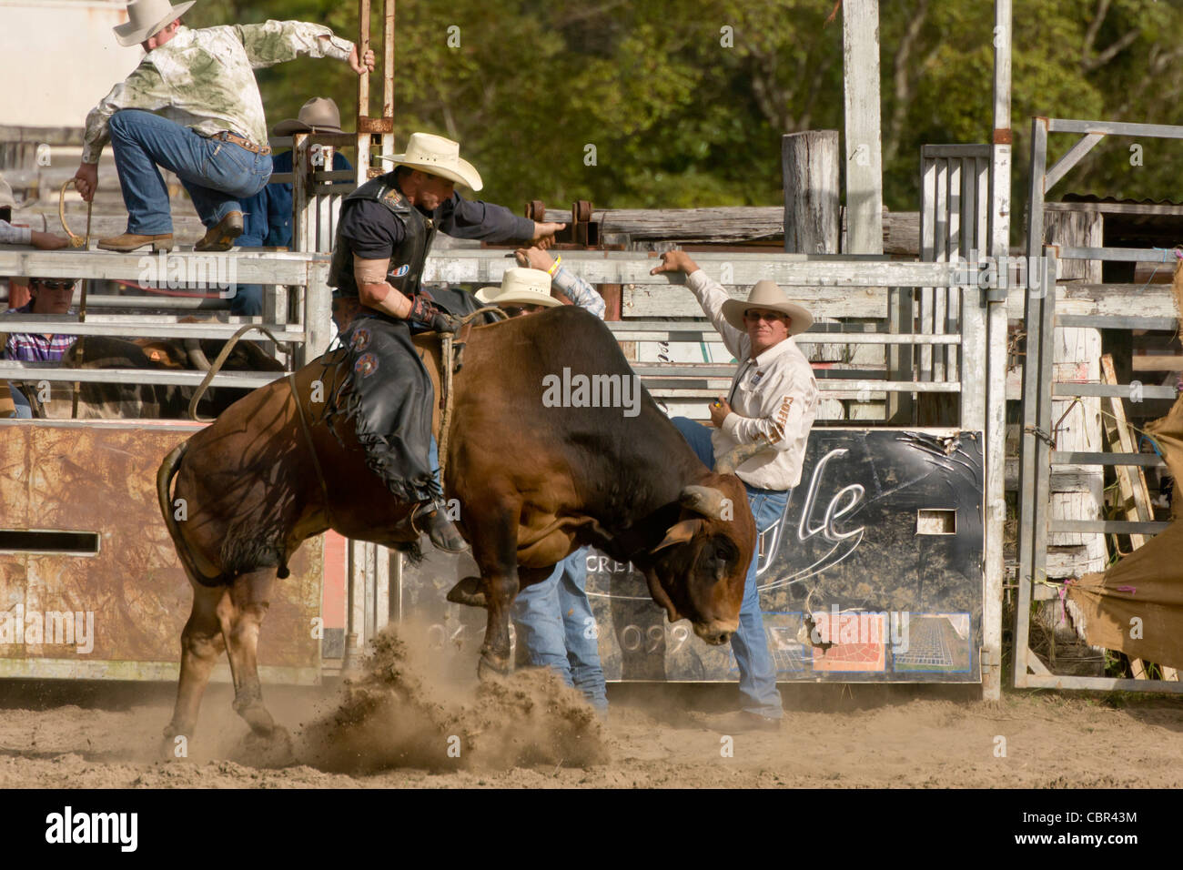 Australian australia cowboy cowboys hi-res stock photography and images ...
