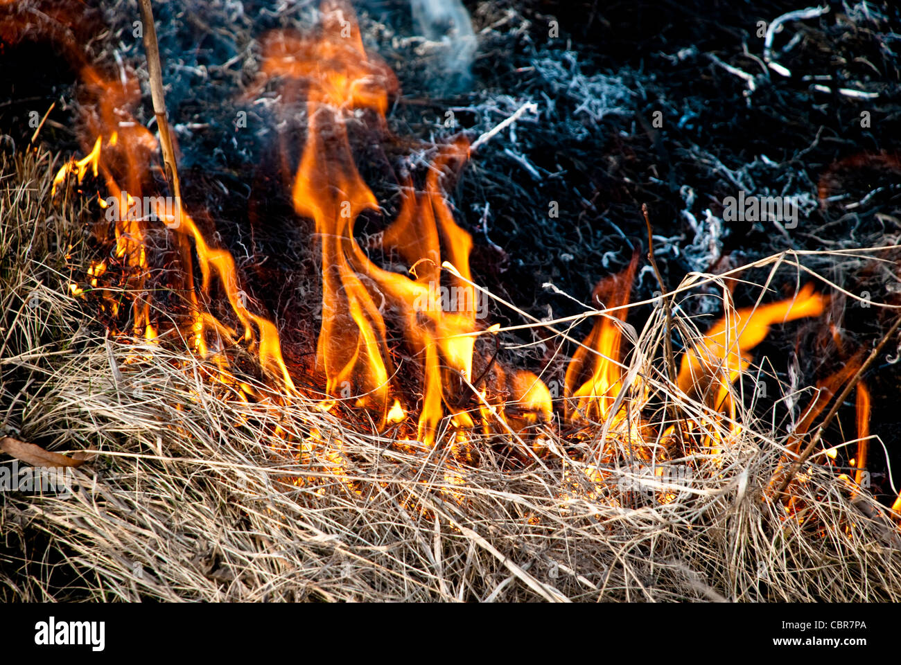 Fire burning dry grass spring hi-res stock photography and images - Alamy
