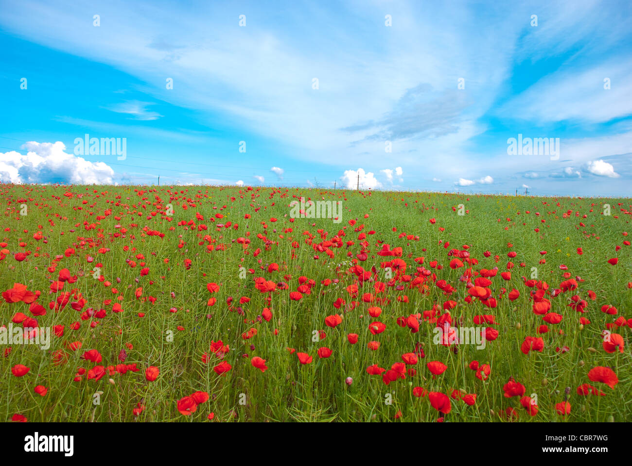 Idyllic field hi-res stock photography and images - Alamy