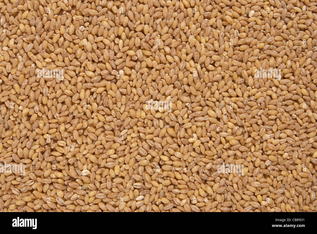 A full frame take of organic barley, food background Stock Photo - Alamy