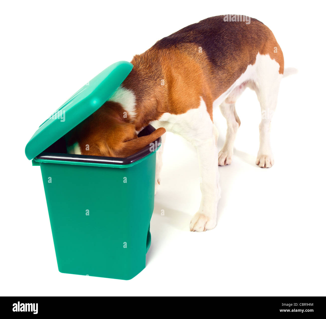 Garbage can hi-res stock photography and images - Alamy