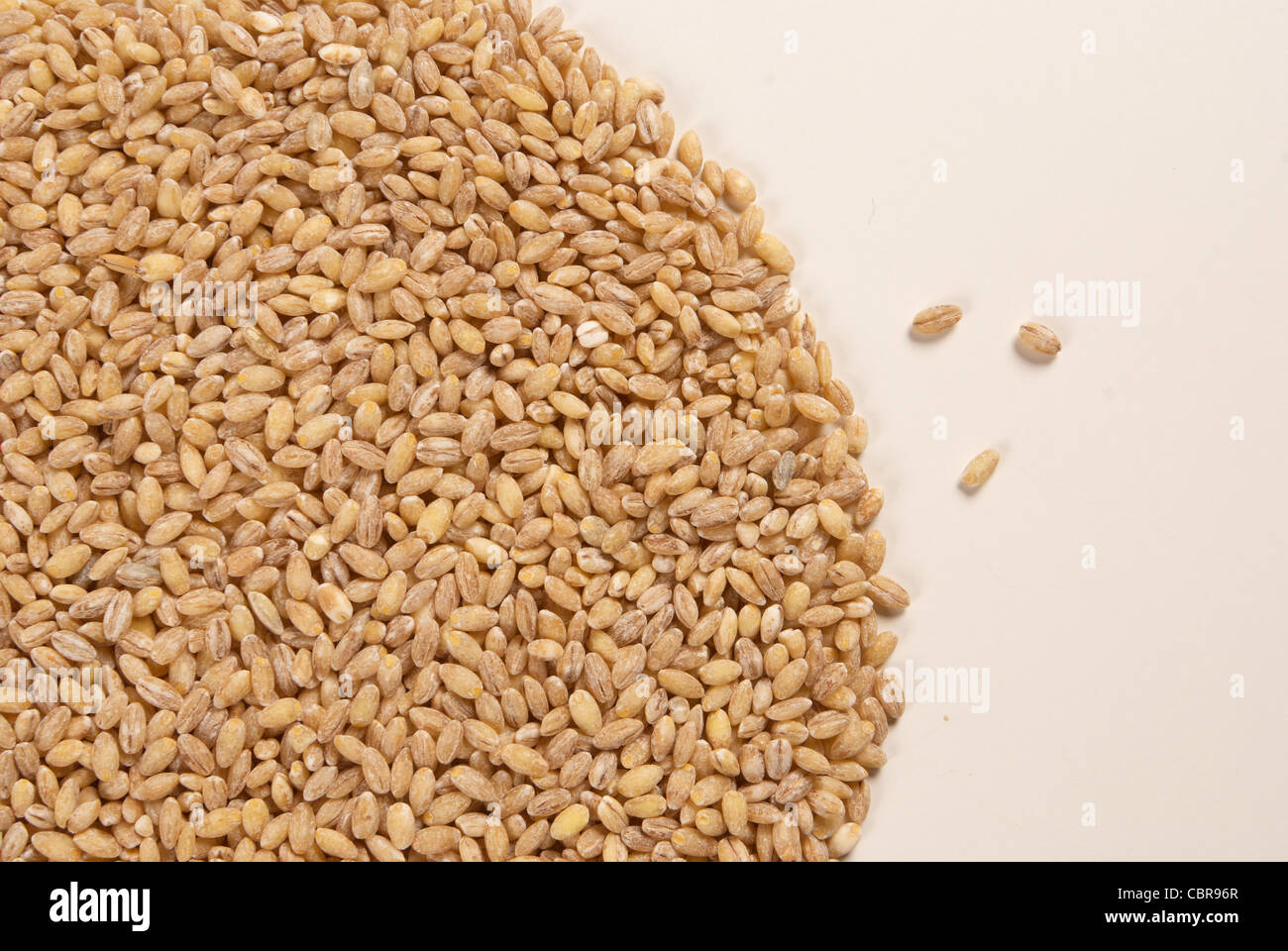 A heap of fresh barley with copy space Stock Photo - Alamy