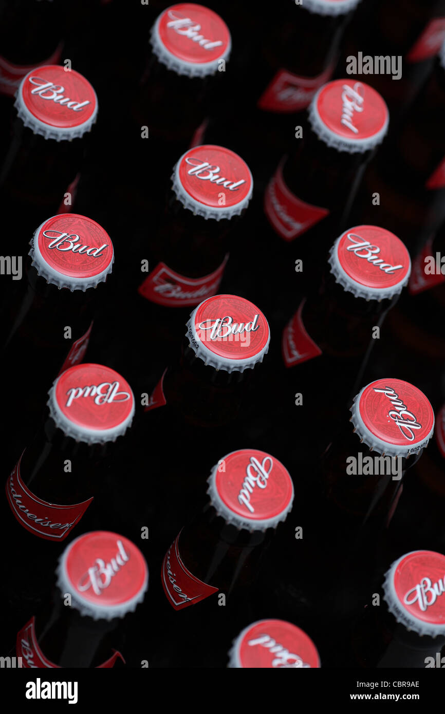 Budweiser beer bottles Stock Photo - Alamy