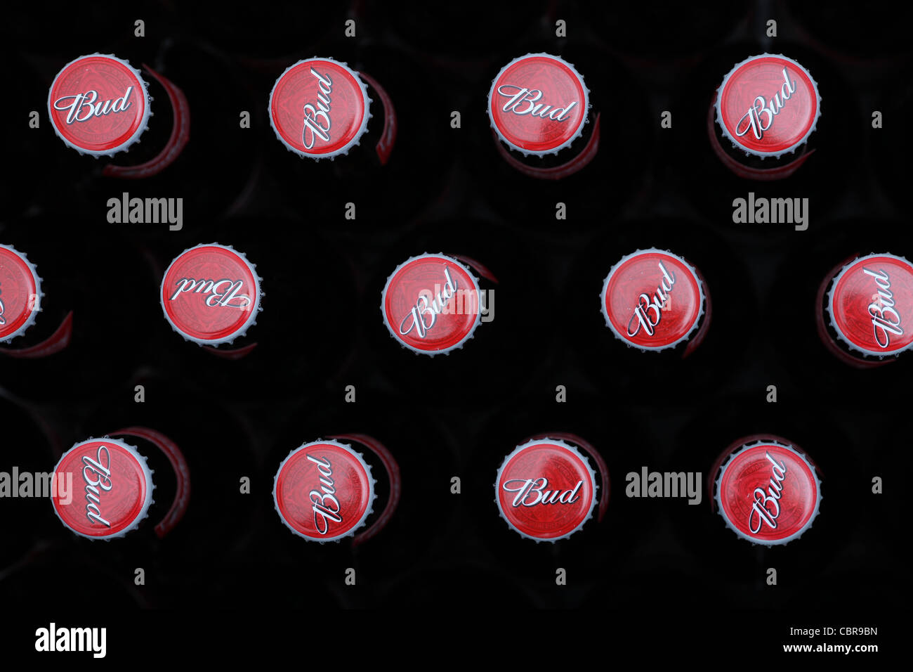 Budweiser beer bottles Stock Photo - Alamy