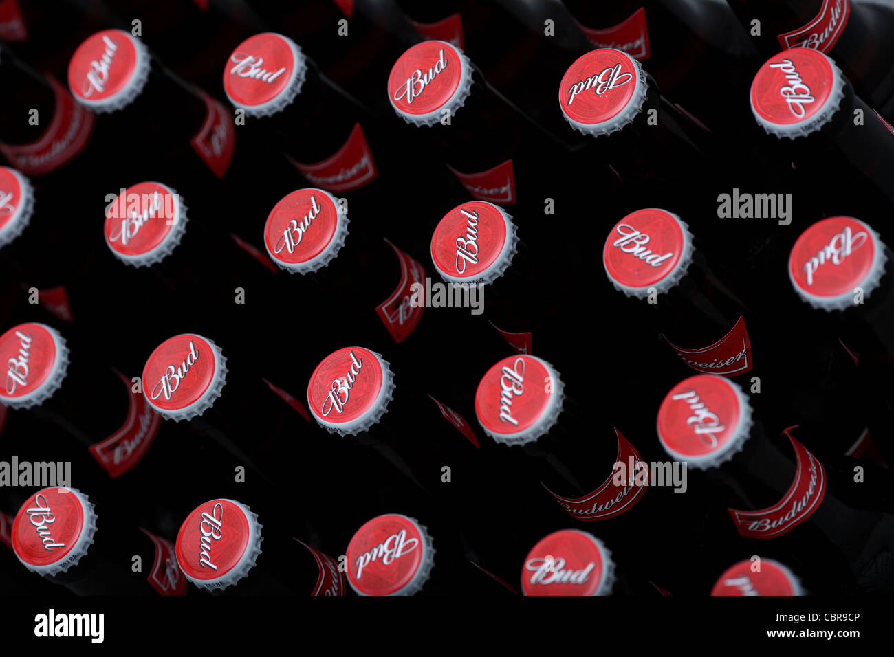 Budweiser beer bottles Stock Photo - Alamy