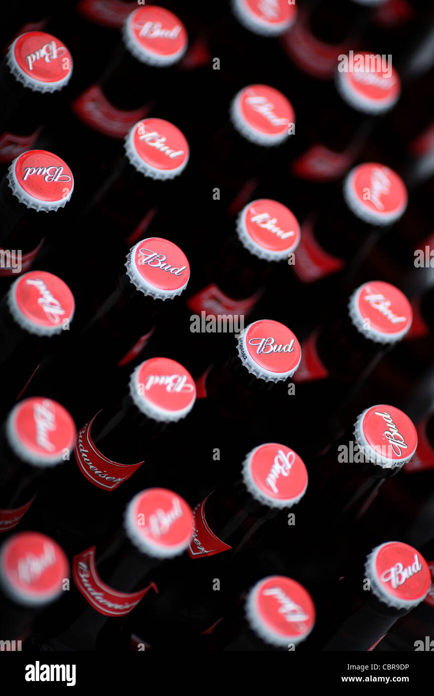 Budweiser beer bottles Stock Photo - Alamy