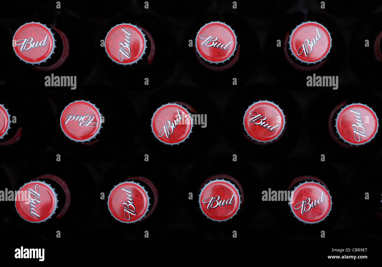 Budweiser beer bottles Stock Photo - Alamy