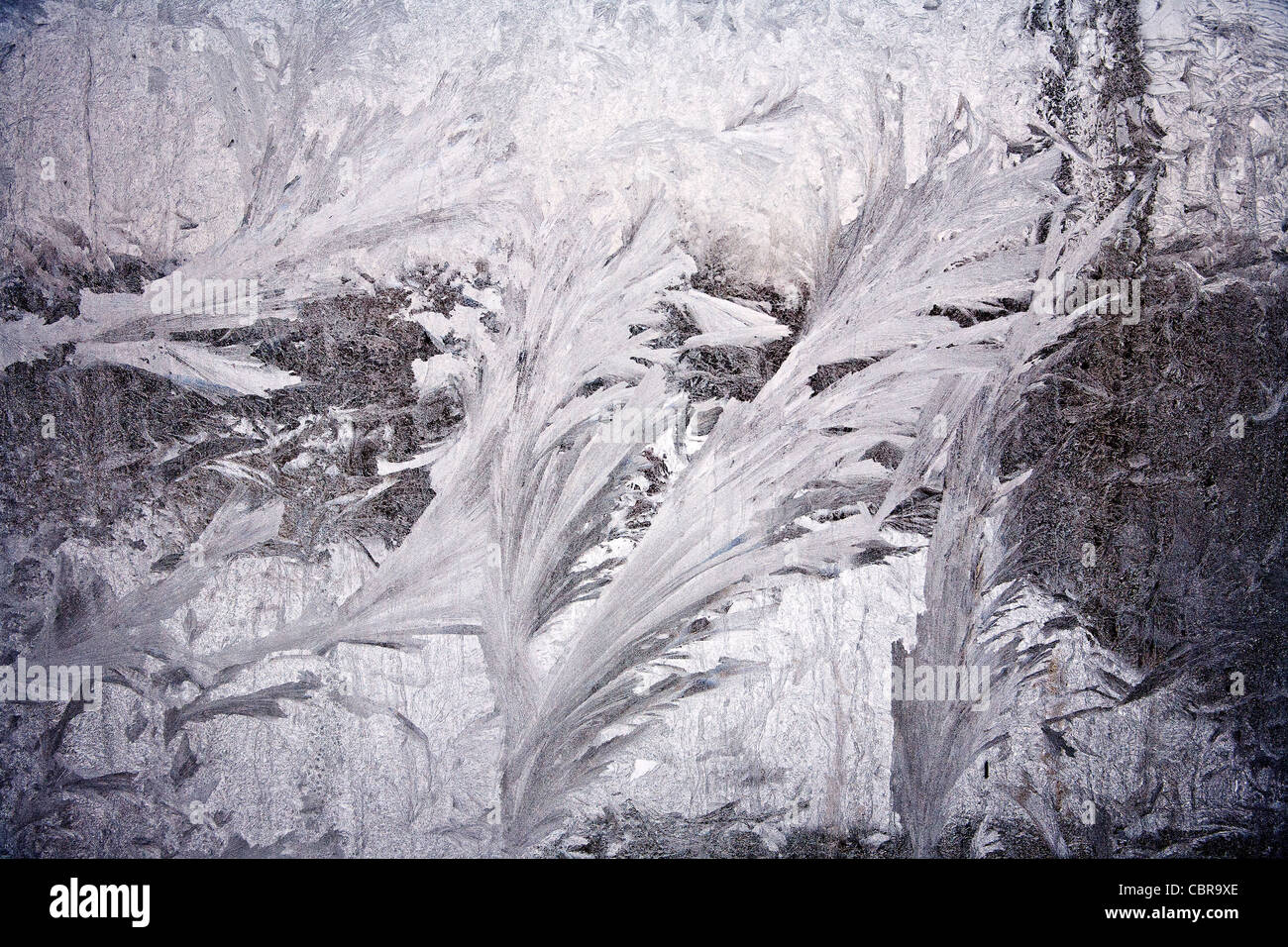 Frosty patterns on a window-glass Stock Photo - Alamy