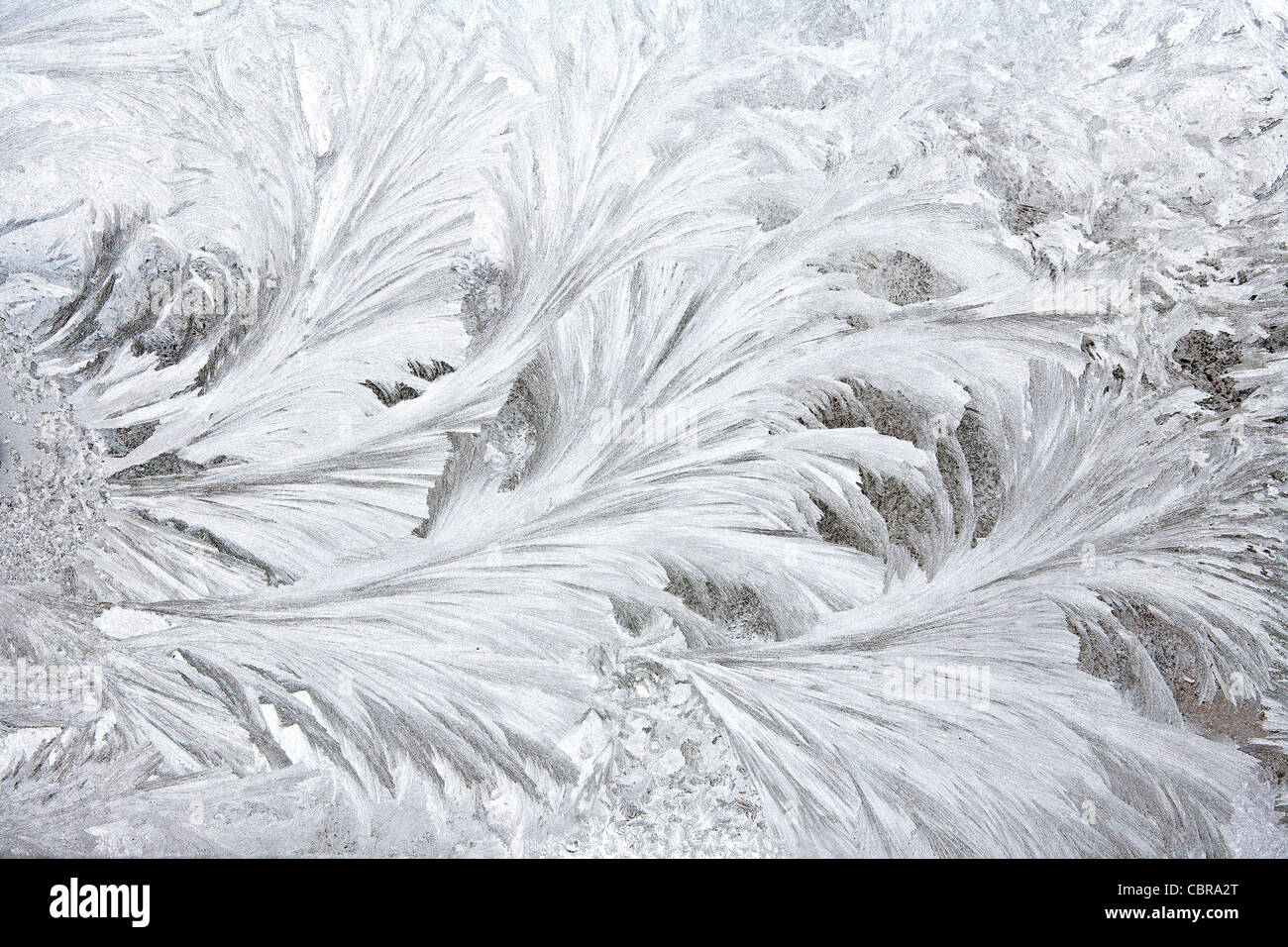Frosty patterns on a window-glass Stock Photo - Alamy