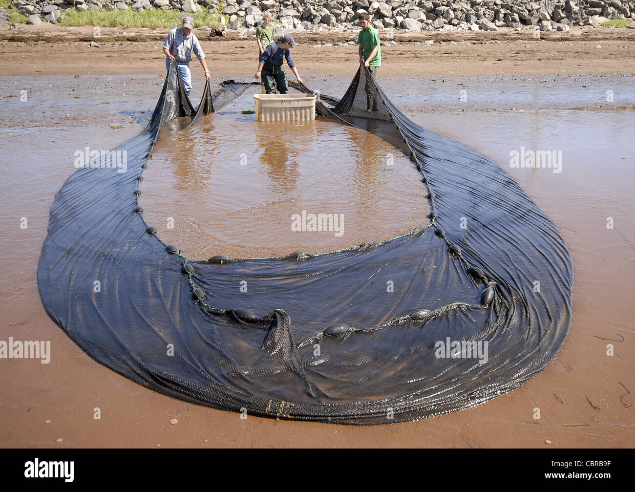 Marine sampling on the Tatamagouche Bay, Nova Scotia Stock Photo - Alamy