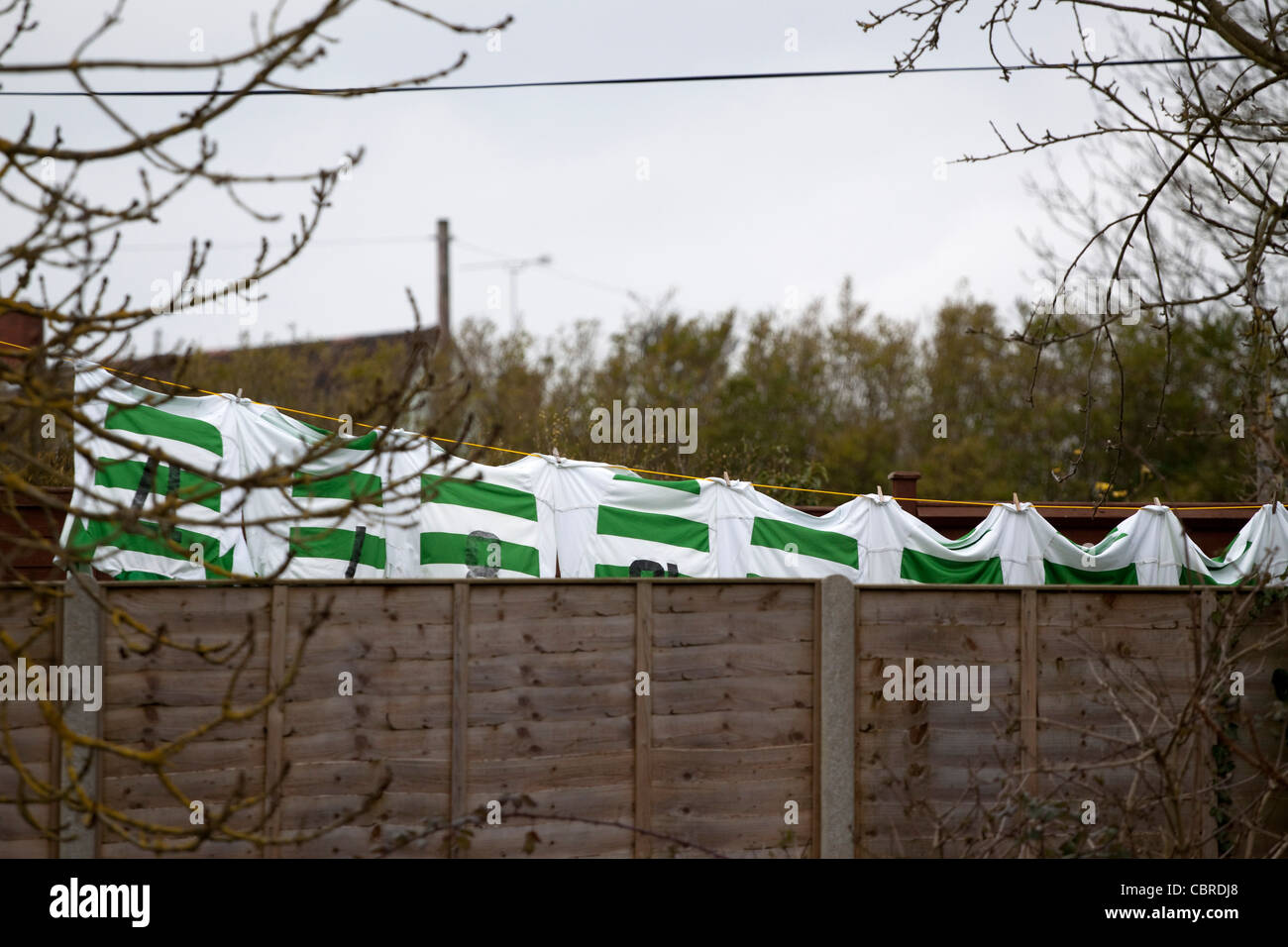 Green and white football/soccer jerseys hanging on a washing line Stock ...