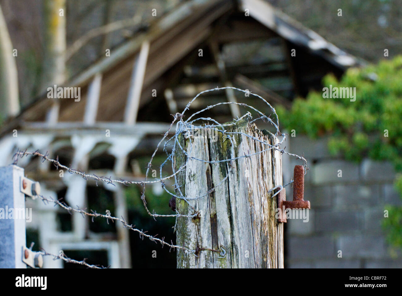 Old aust ferry hi-res stock photography and images - Alamy