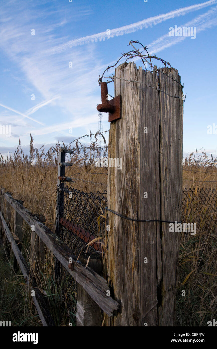 Old aust ferry hi-res stock photography and images - Alamy