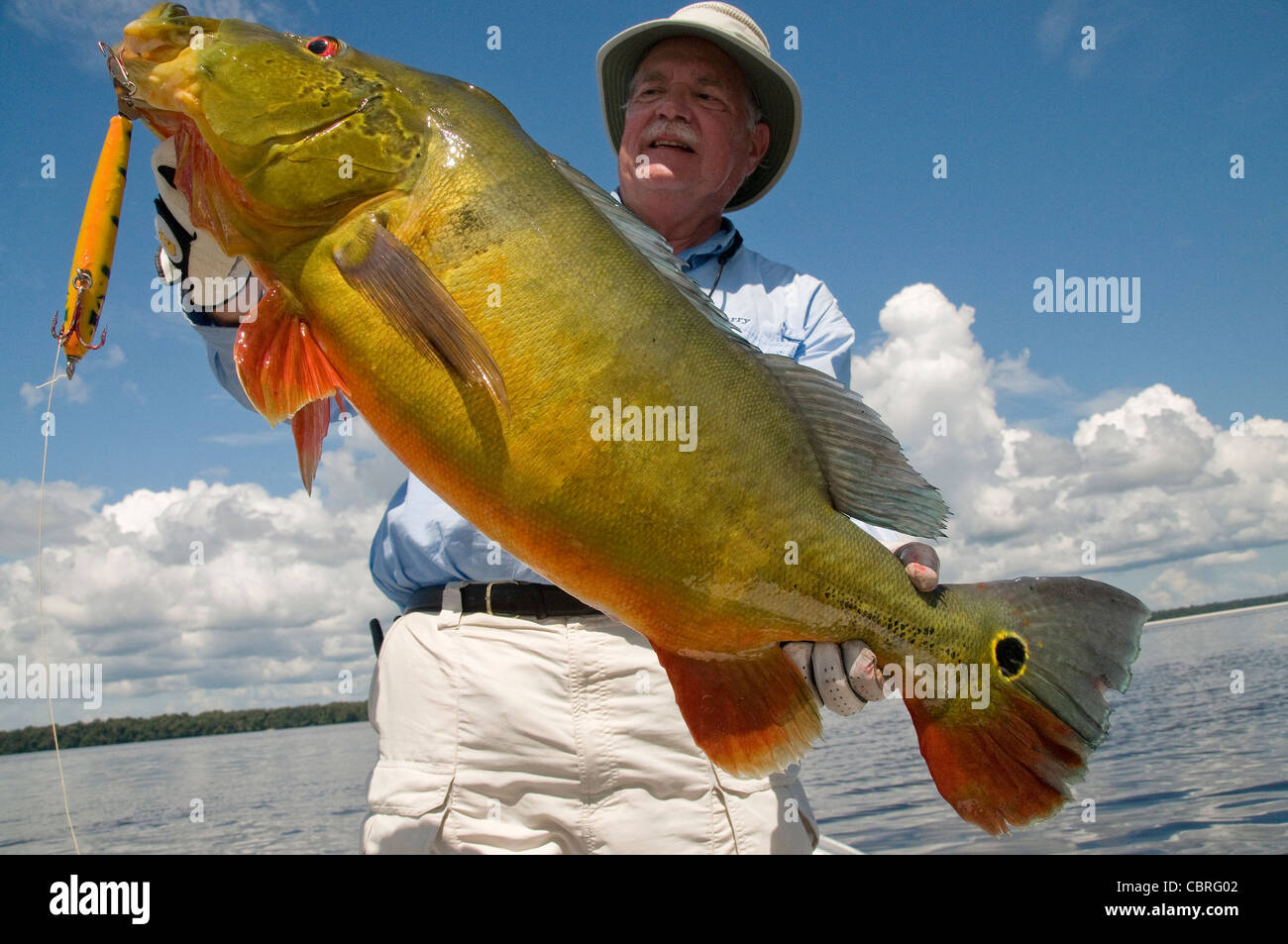 Tiger Bass High Resolution Stock Photography and Images - Alamy