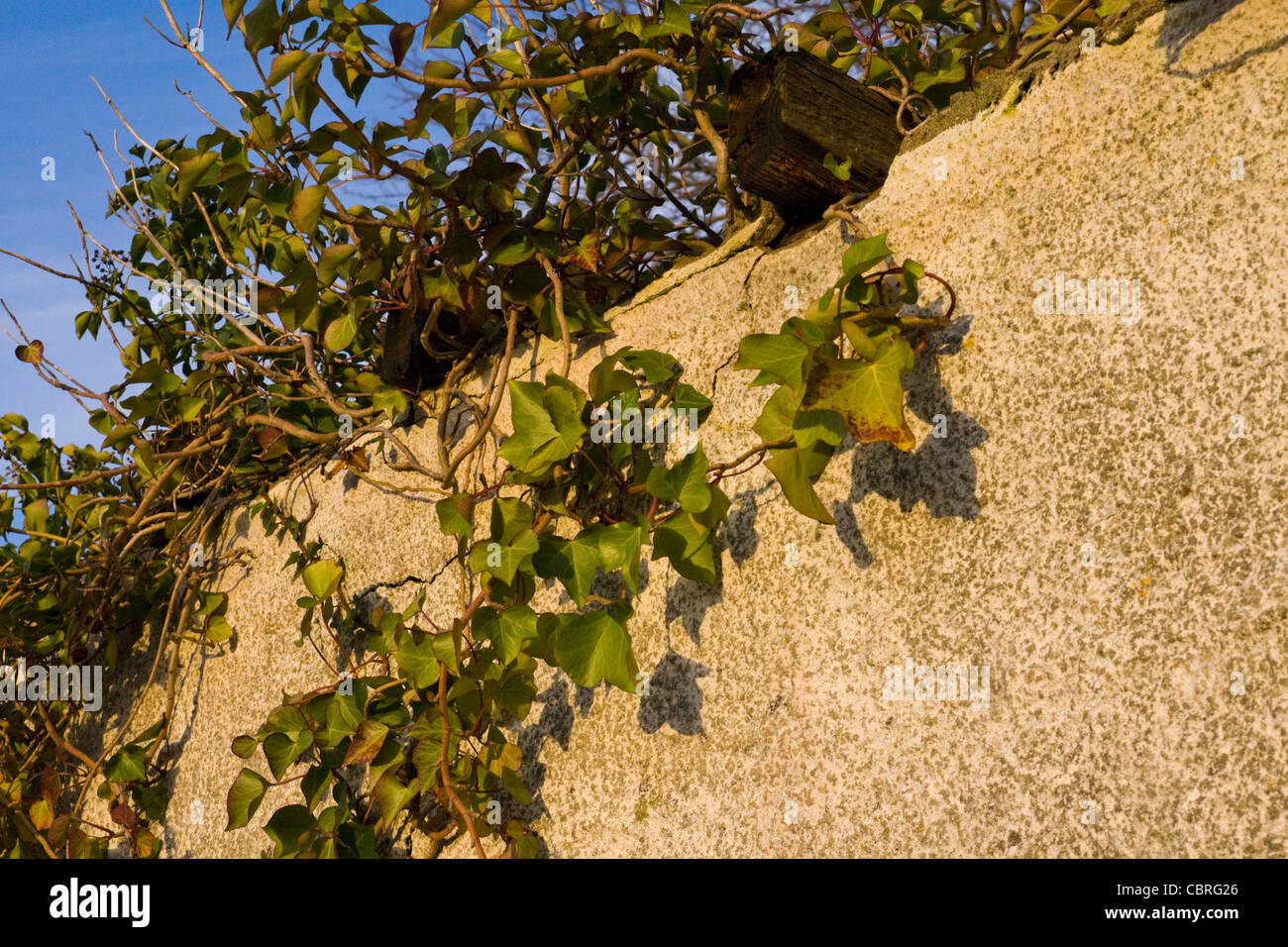 Old aust ferry hi-res stock photography and images - Alamy