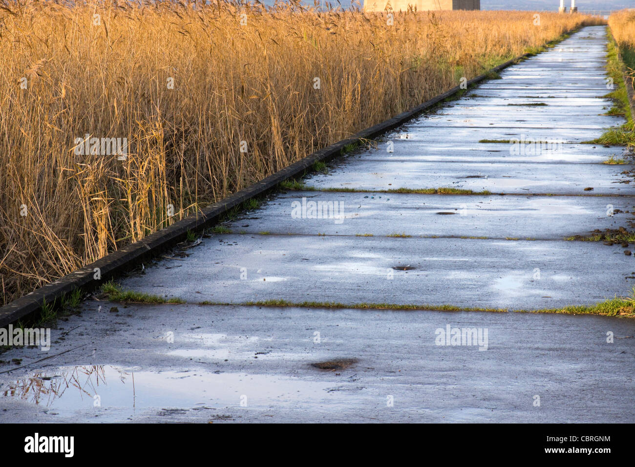 Site of the Old Aust Ferry, since replaced by two severn bridges ...