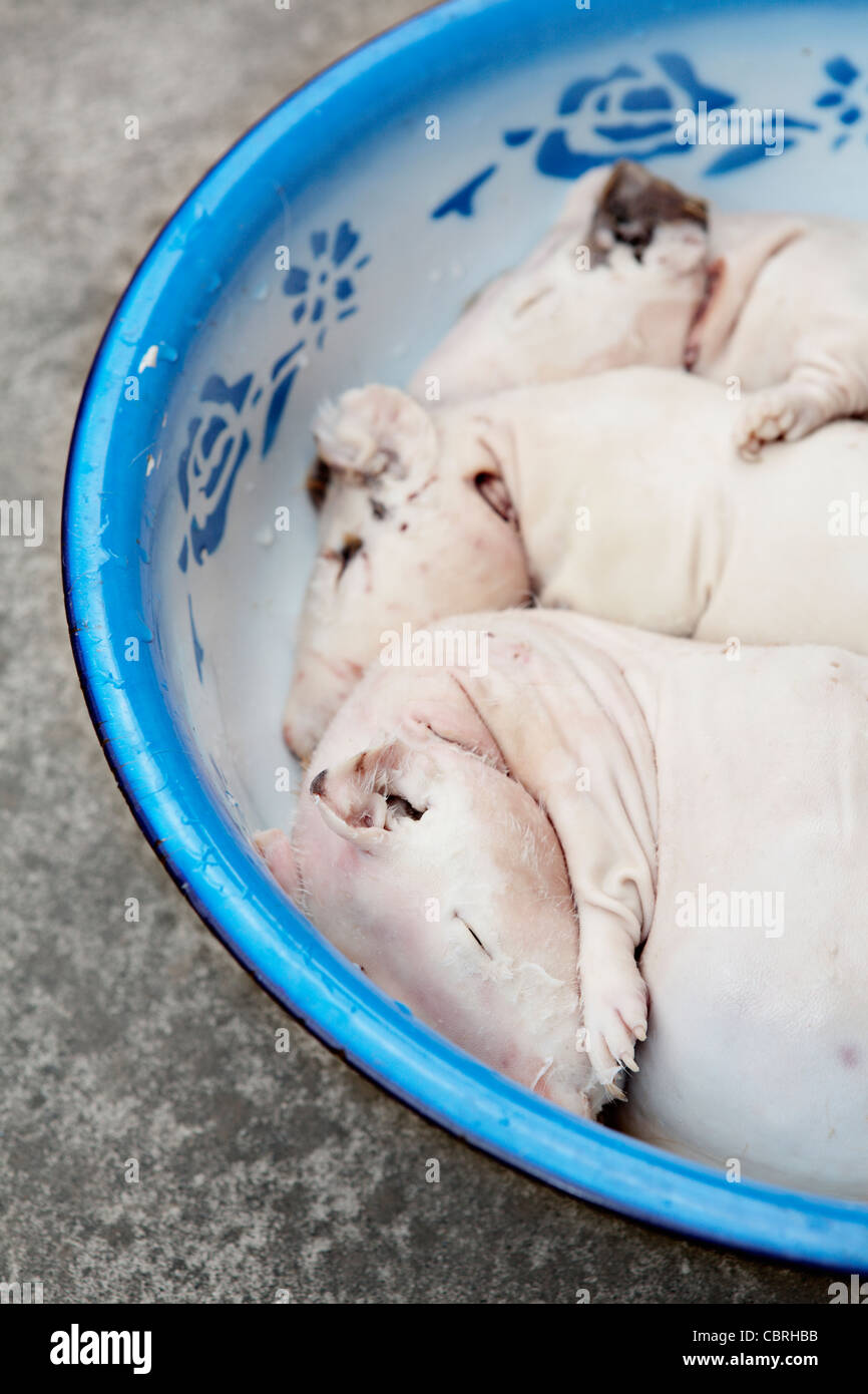 Ecuador guinea hi-res stock photography and images - Alamy