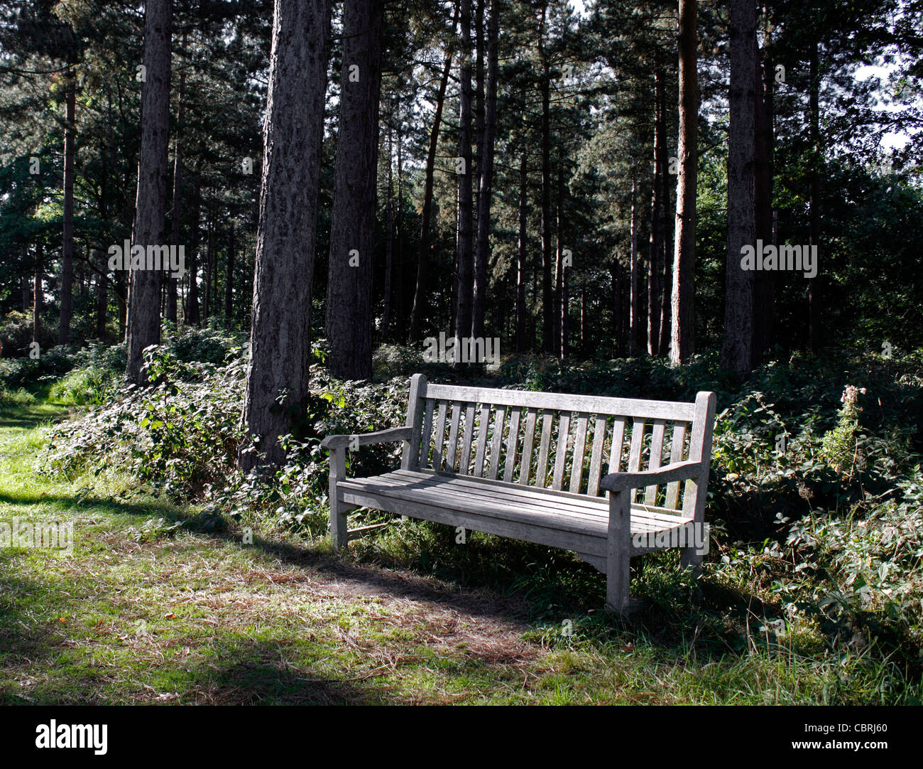 WOODLAND GARDEN SEAT Stock Photo - Alamy
